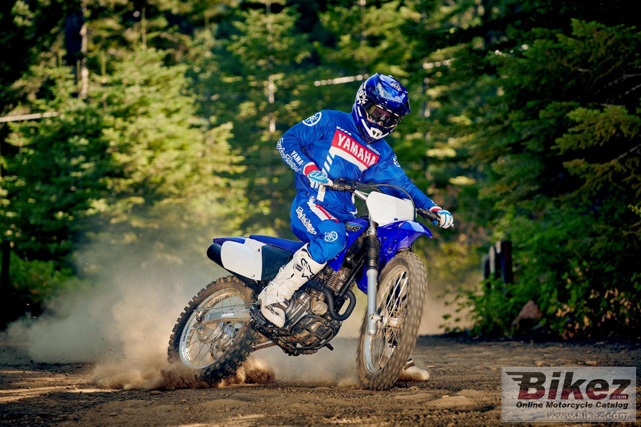 Yamaha TT-R230 poster